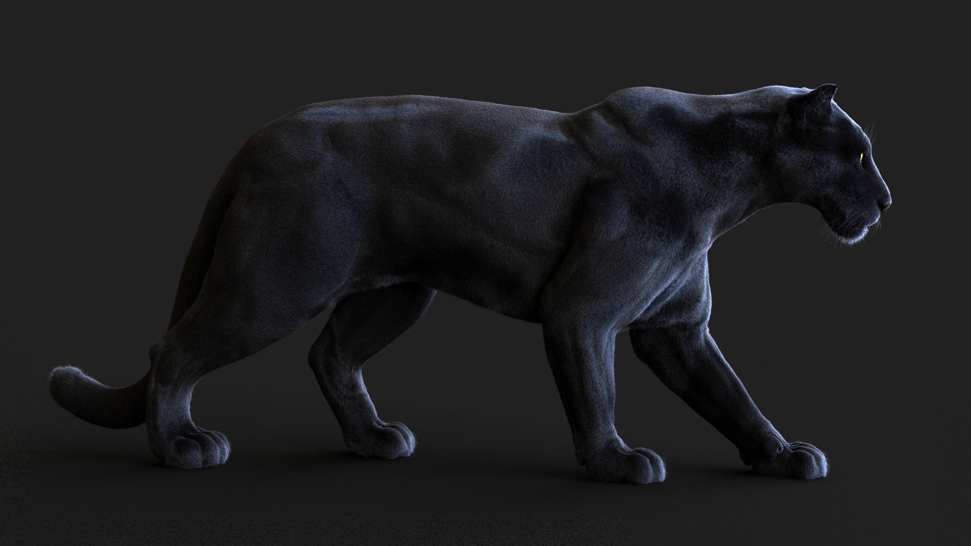 BLACK PANTHER ANIMATED XGEN-CORE - TurboSquid